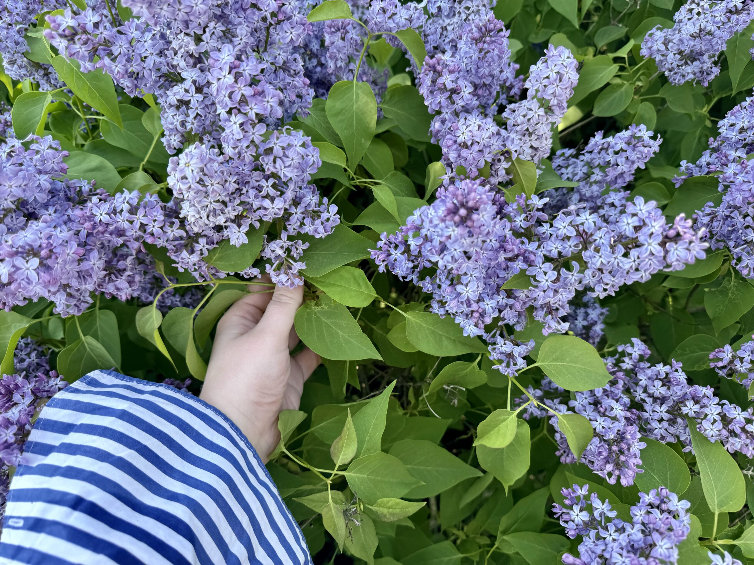 Favoritter i mai: kultur, mote, skjønnhet og velvære